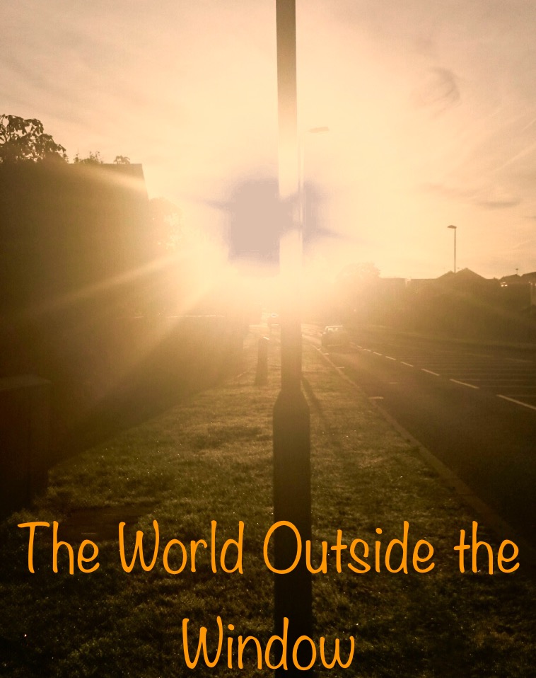 The World Outside the Trailer | The World Outside the Window