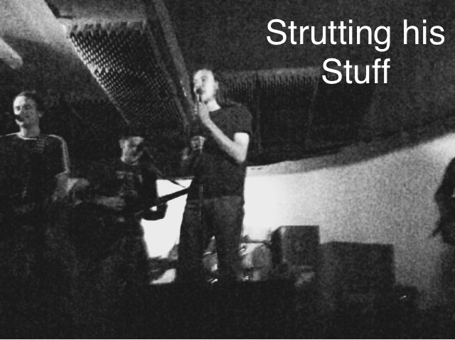 Strutting his Stuff | The World Outside the Window